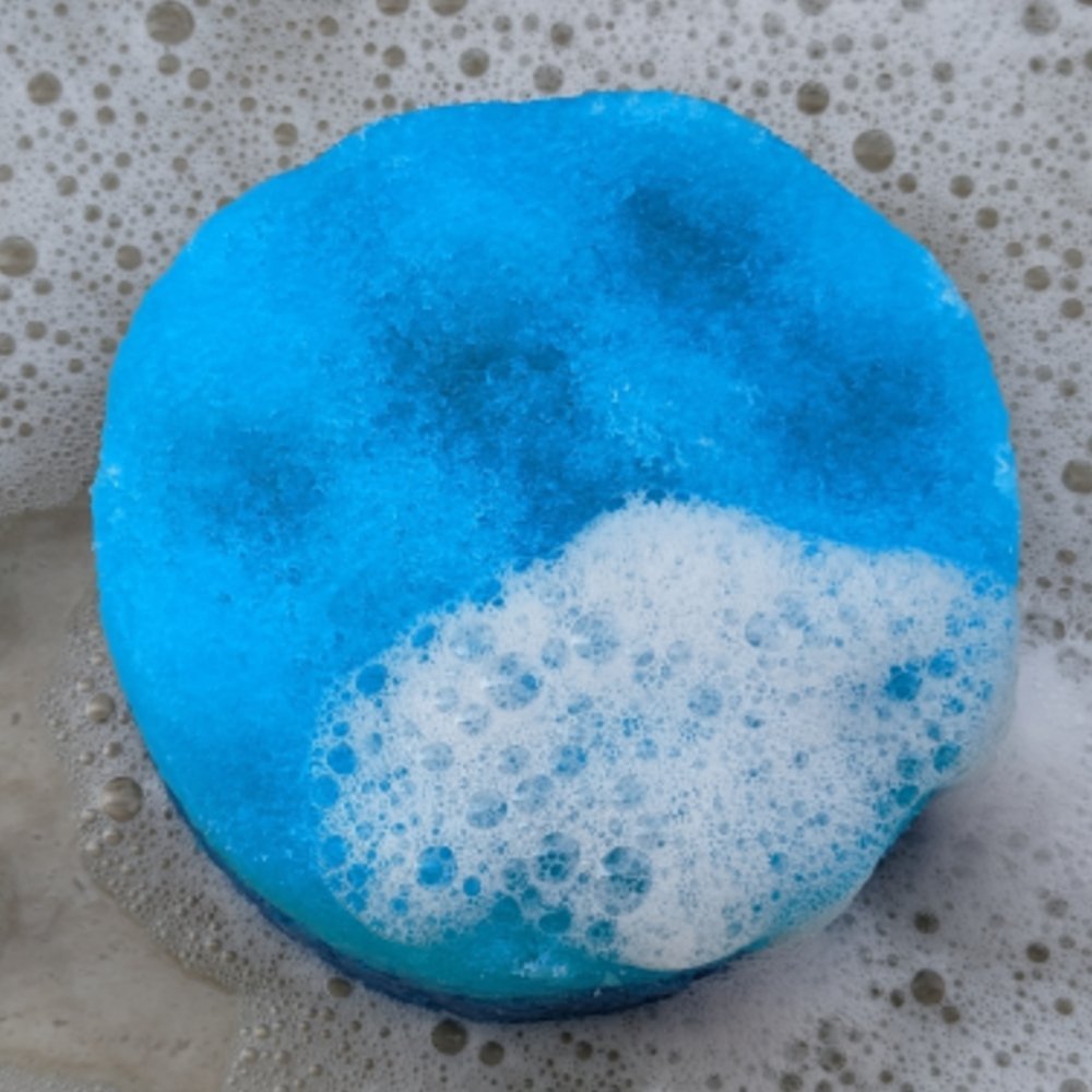 In Victory- Soap Sponge - The Schmoo